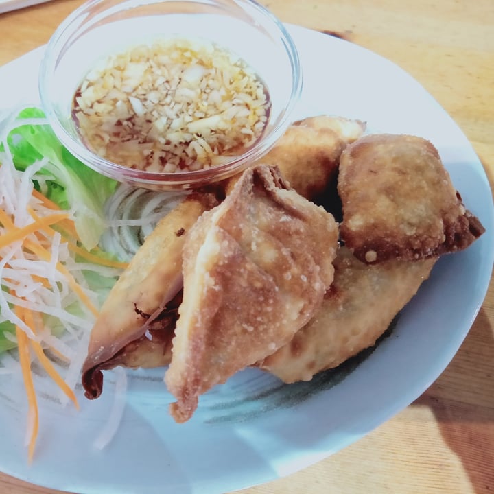 Lucky Cat Hougang, Singapore Deep-Fried House-Made Dumplings Review ...