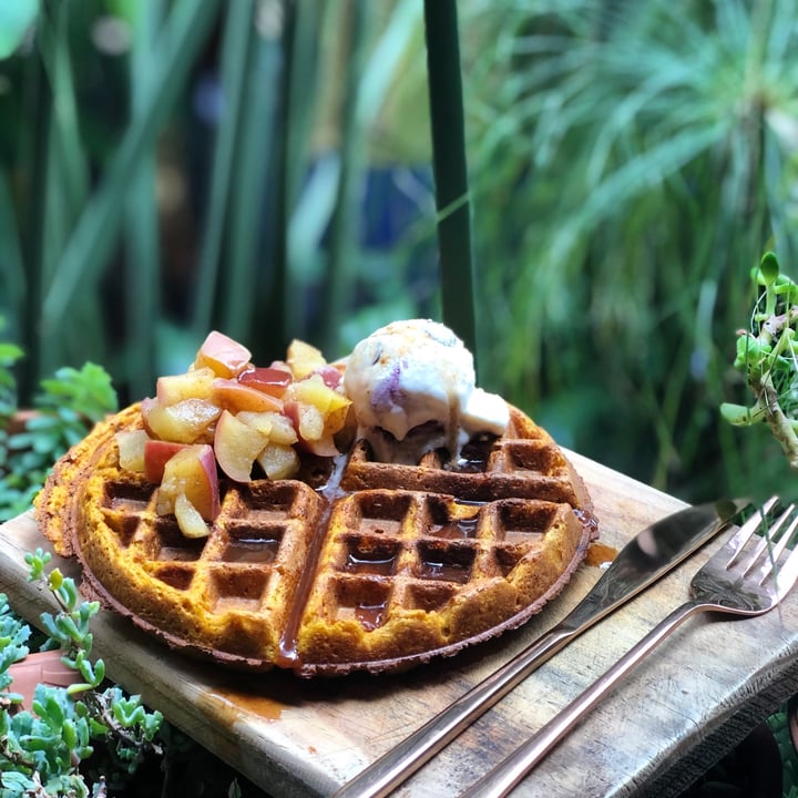 Woowfles Waffle otoño Review | abillion