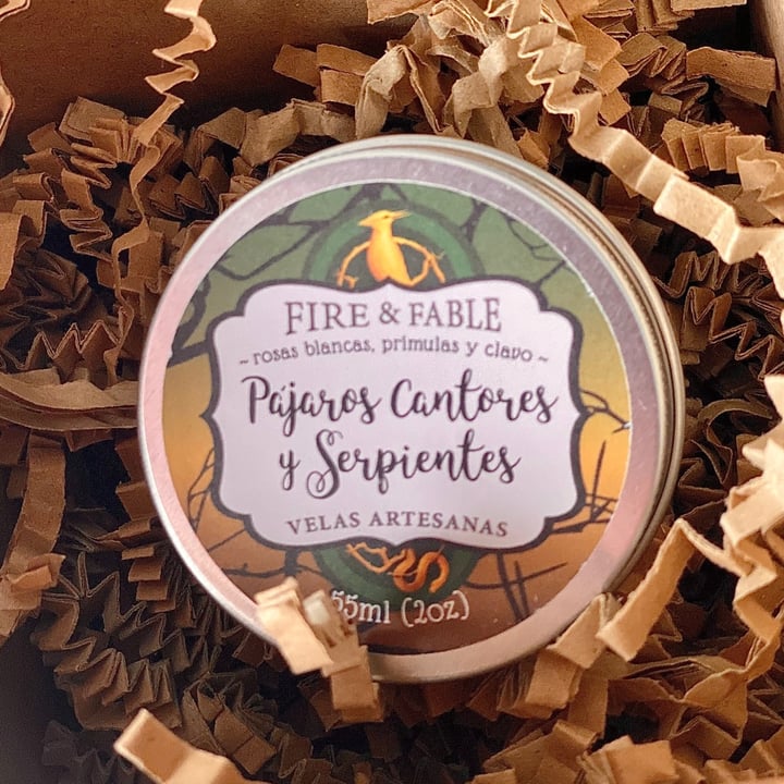 Fire and Fable Reviews | abillion