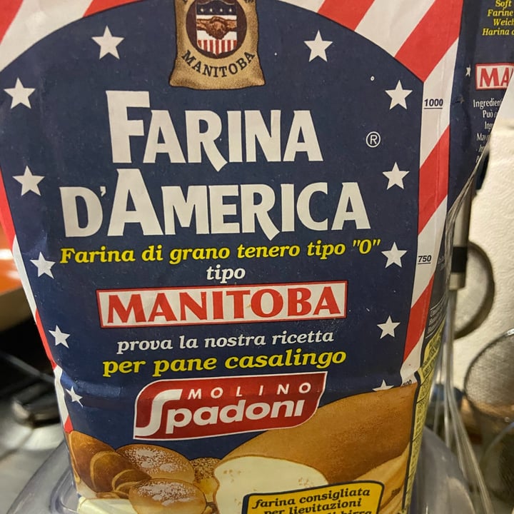 Molino Spadoni Farina d'America Review | abillion