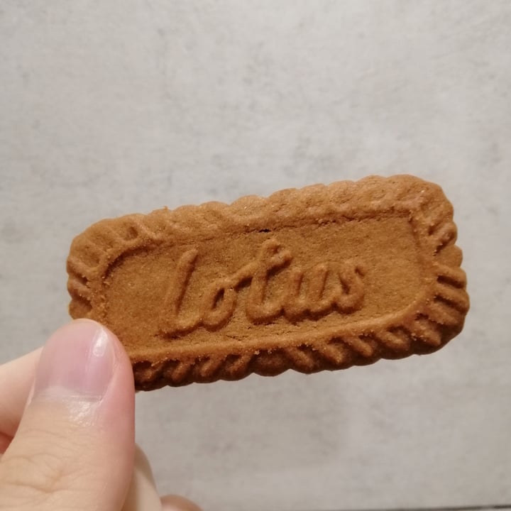 Lotus Lotus Biscoff Original Cookies Review | abillion
