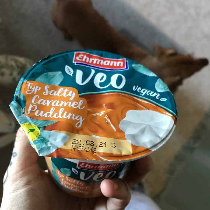Ehrmann Veo Vegan Salty Caramel Pudding Review | abillion