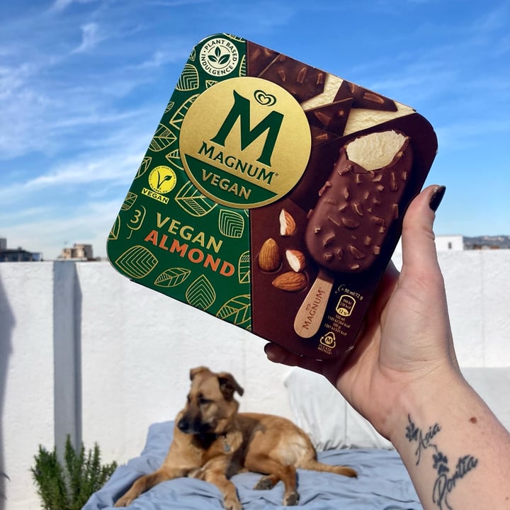 Magnum Vegan Almond Review | abillion