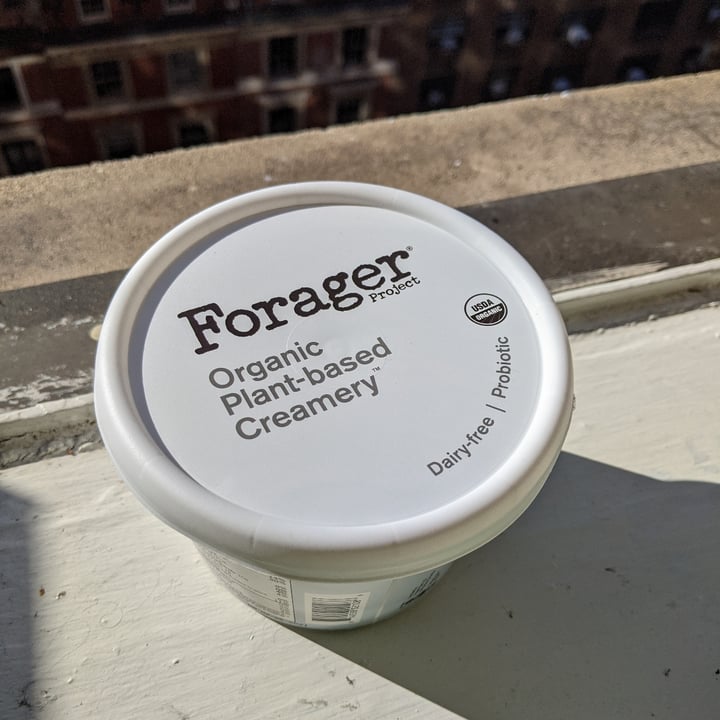 Forager Project Plant base protein yogurt Review | abillion