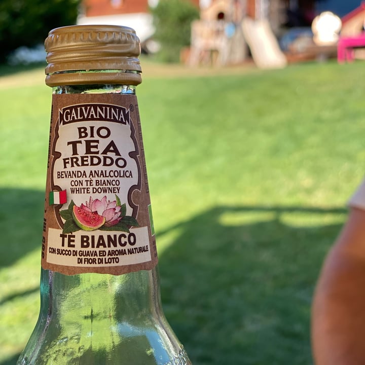 Galvanina Te Bianco con succo di guava ed aroma naturale di fior di ...