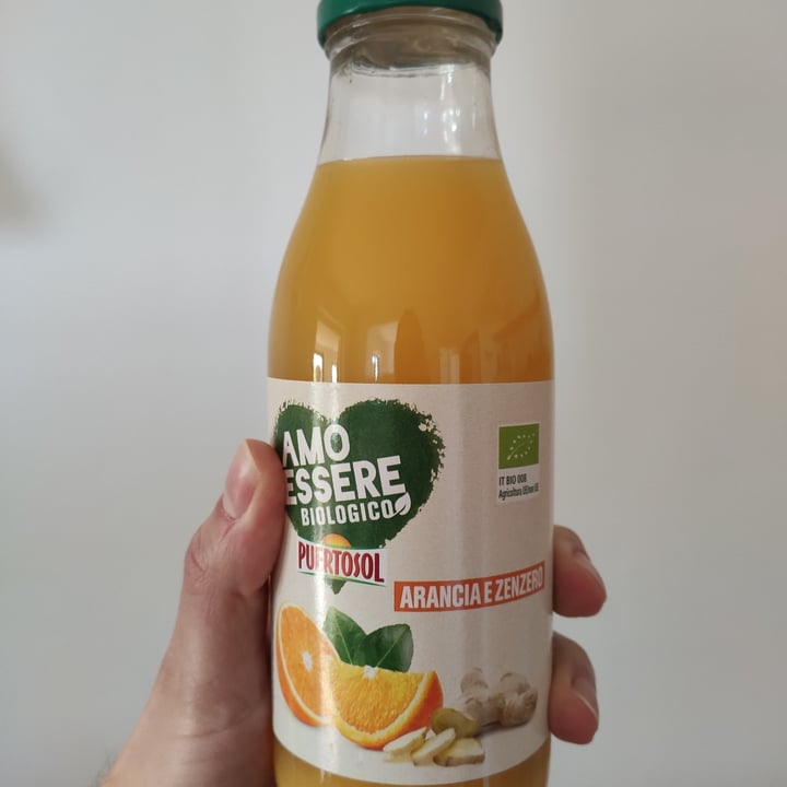 Puertosol Succo di frutta arancia e zenzero Review | abillion