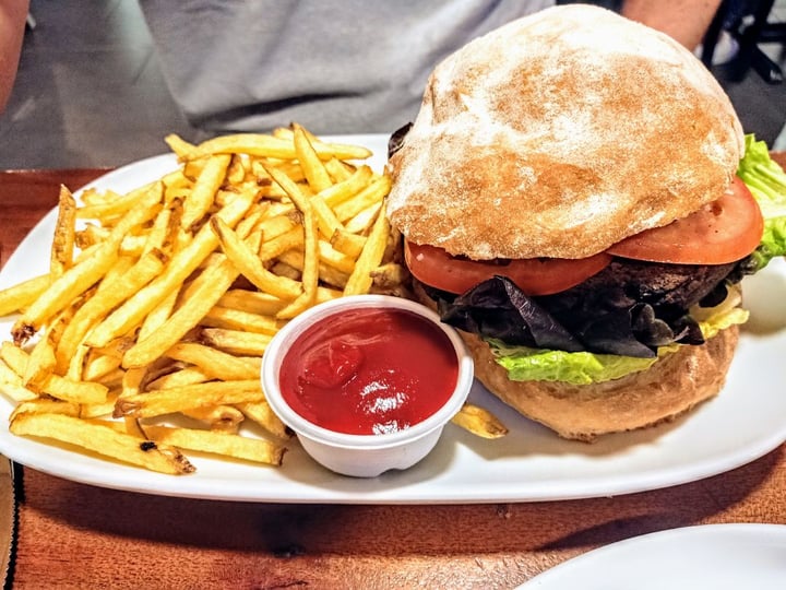 Due South Albany, Australia Vegan Burger Review | abillion