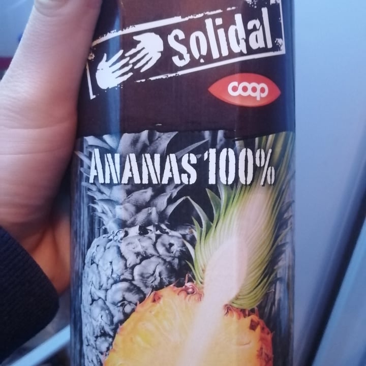 Solidal coop Ananas 100% Review | abillion