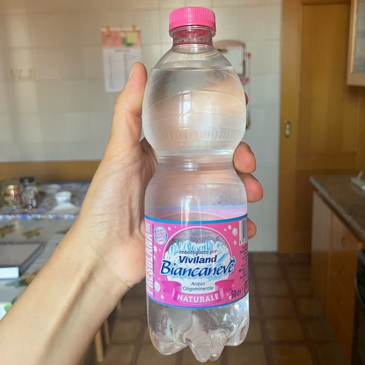 Viviland Natural water Review | abillion