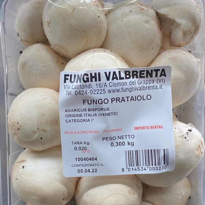 Funghi valbrenta Fungo prataiolo Review | abillion