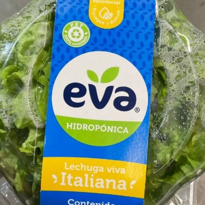 Eva Lechuga Italiana Review | abillion