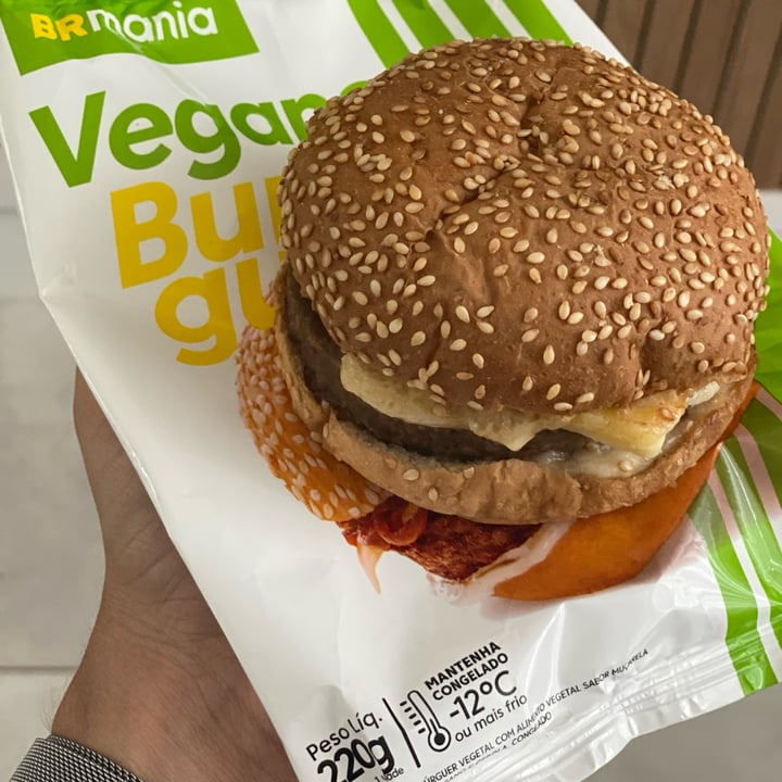 BR MANIA Vegan Burger Review | abillion