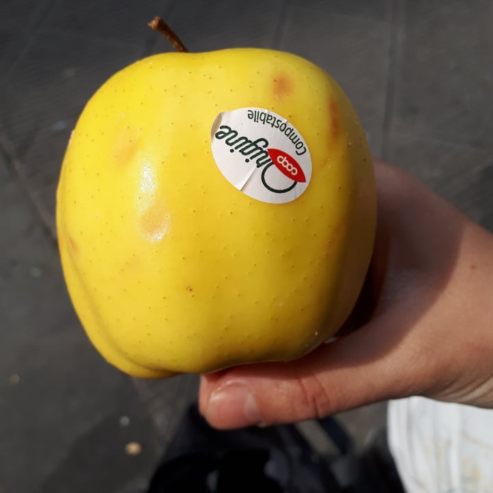 coop Mele golden Review | abillion