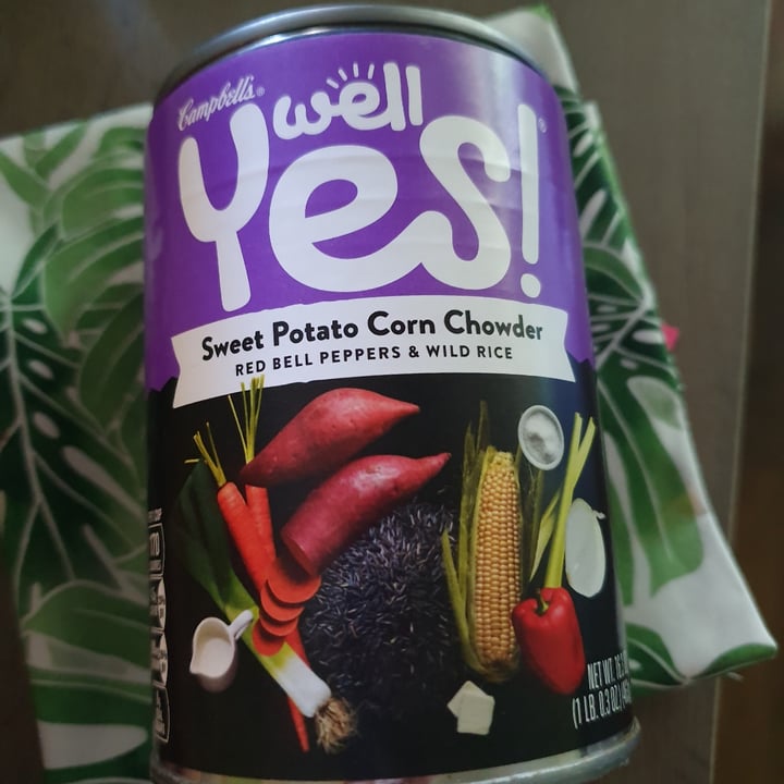 Campbell's Sweet Potato Corn Chowder Review | abillion