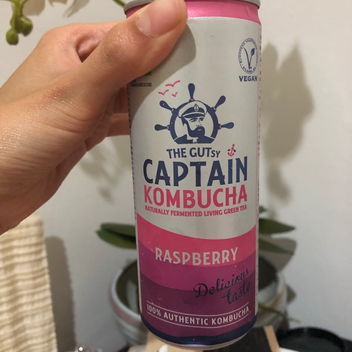 The Gutsy Captain Kombucha Raspberry Review | abillion