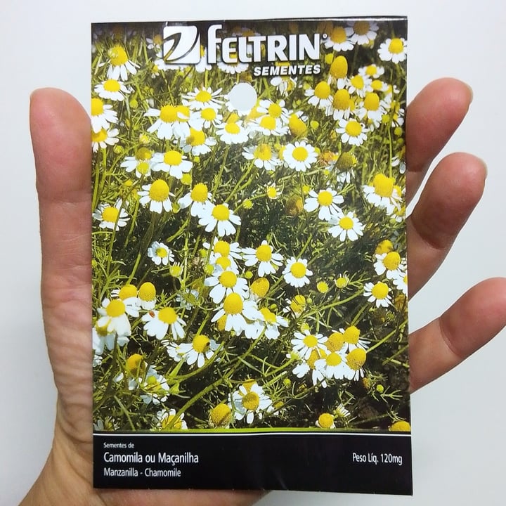 feltrin sementes Reviews | abillion