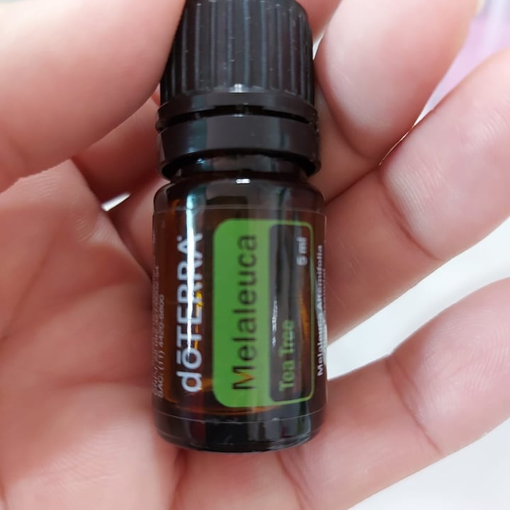 dōTERRA Melaleuca - Tea Tree - Essential Oil Review | abillion