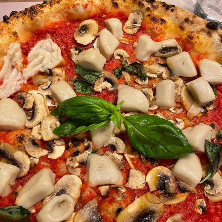 Figo Burger Pizza & More Pizza Con Mozzarella Di Riso Reviews | abillion