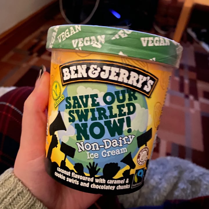 Ben & Jerry's Save Our Swirled Now! Non-Dairy Ice Cream Review | abillion