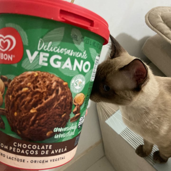 Kibon Soverte Vegano Kibon Review | abillion