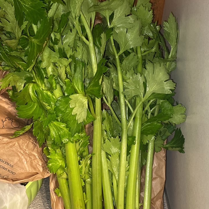 L'ambiente naturale Sedano Verde Bio Review | abillion