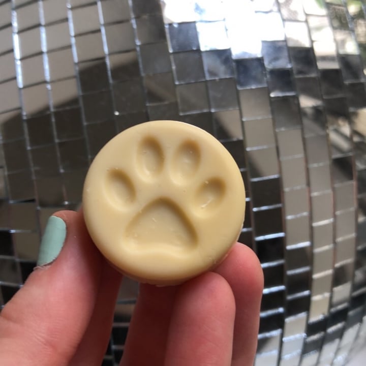 LUSH Fresh Handmade Cosmetics Charity Pot Coin Naked Body Lotion Review ...