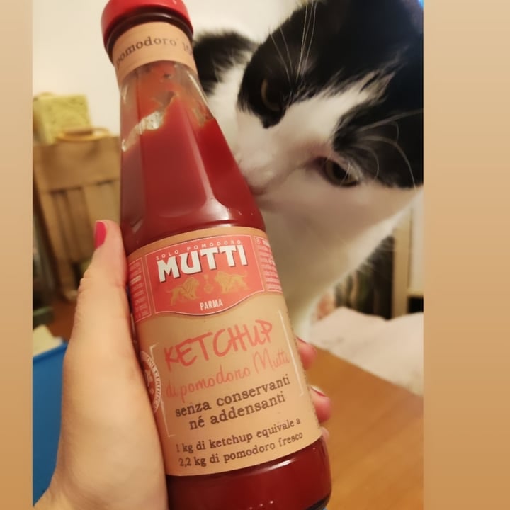Mutti Ketchup Review | abillion