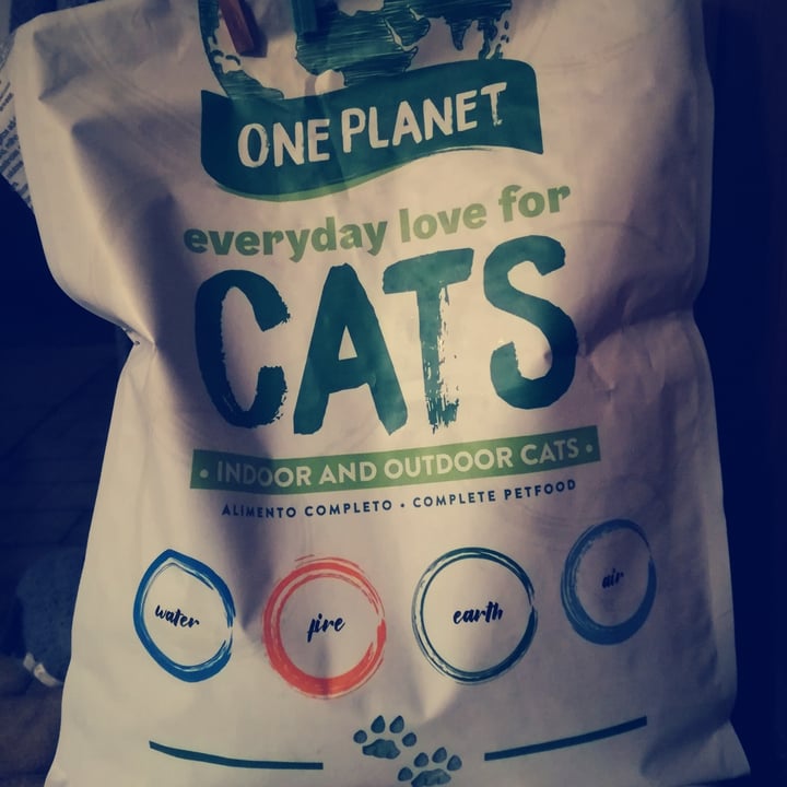 Amì Cat Amì Cat Review | abillion