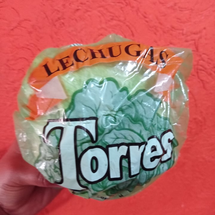 Lechugas Torres Lechuga Review | abillion