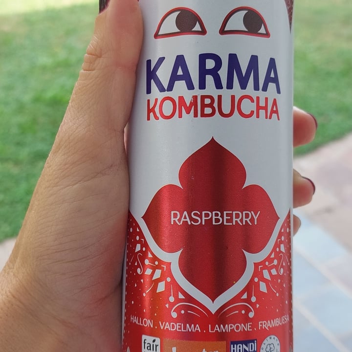 Demeter karma Kombucha raspberry Reviews | abillion