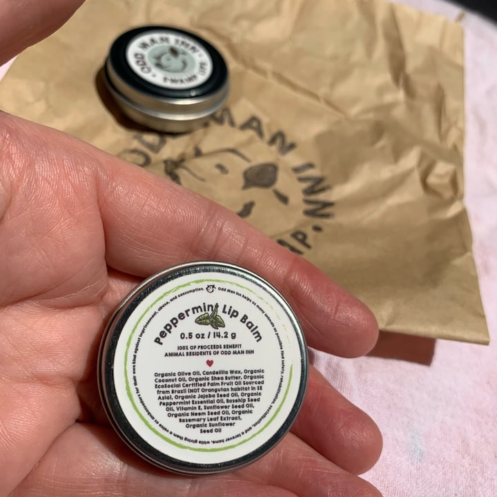 Odd Man Inn Swamp Lips Peppermint Lip Balm Review | abillion