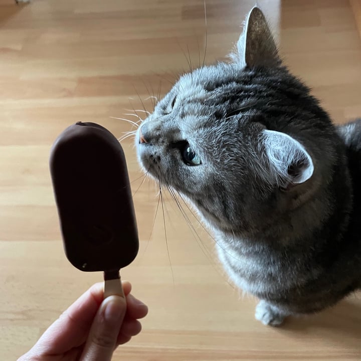 Magnum Dairy Free Sea Salt Caramel Review | abillion