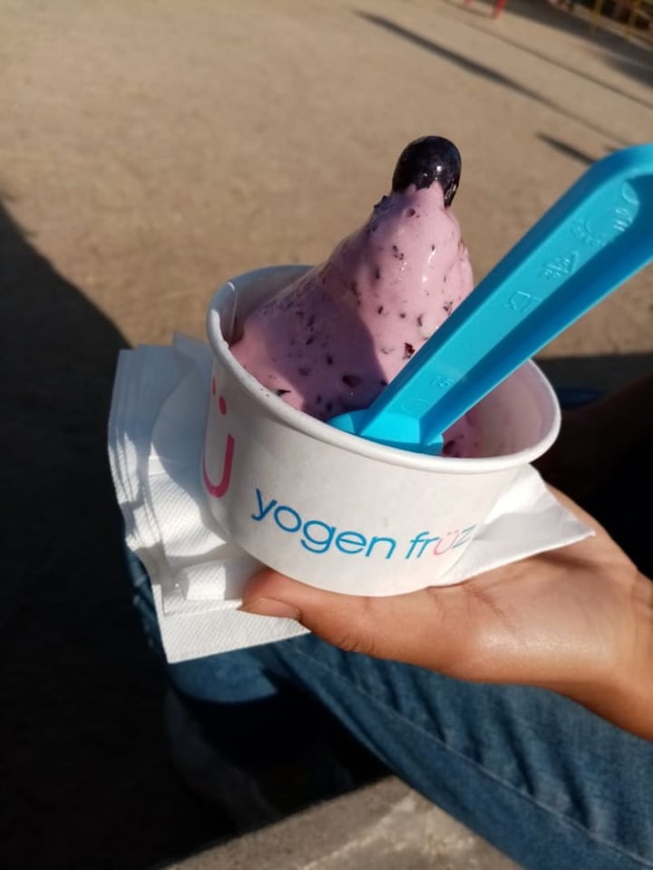 Yogen Früz Viña del Mar, Chile Helado Review | abillion