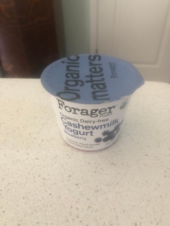 Forager Project Organic Dairy-free Cashewmilk Yogurt Blueberry Review ...