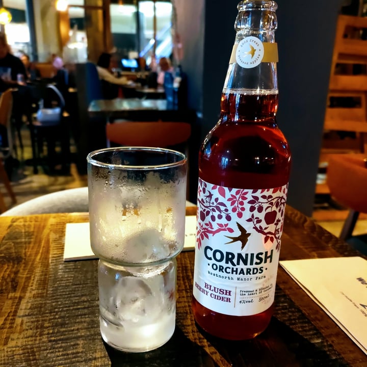 Cornish Orchards Blush Berry Cider Review | abillion