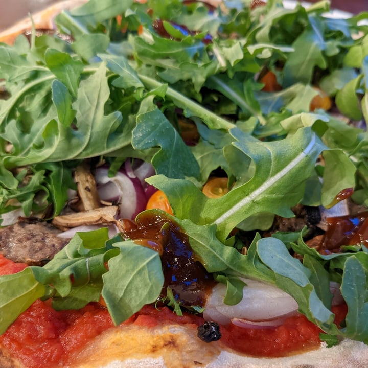 Pizza Collection | abillion