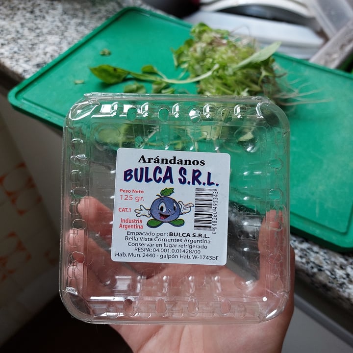 Bulca srl Arandanos Review | abillion