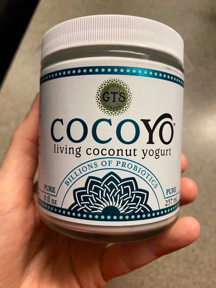 GT’s Living Foods Cocoyo Living Coconut Yogurt Review | abillion