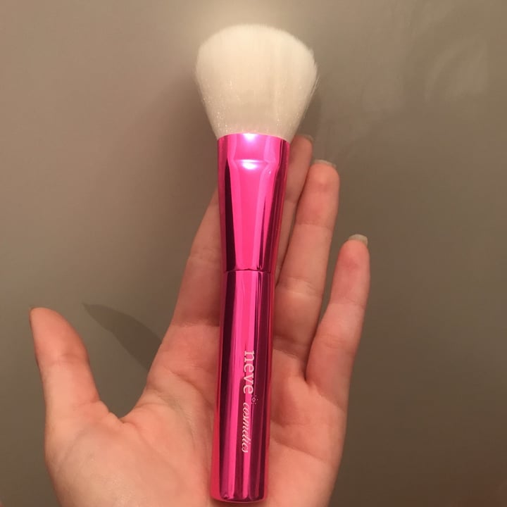 Neve Cosmetics Pennello blush Review | abillion