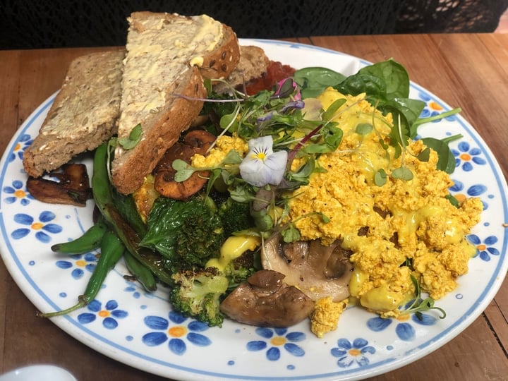 The Shroom Room Lyttelton, New Zealand Vegan Harvest Review | abillion