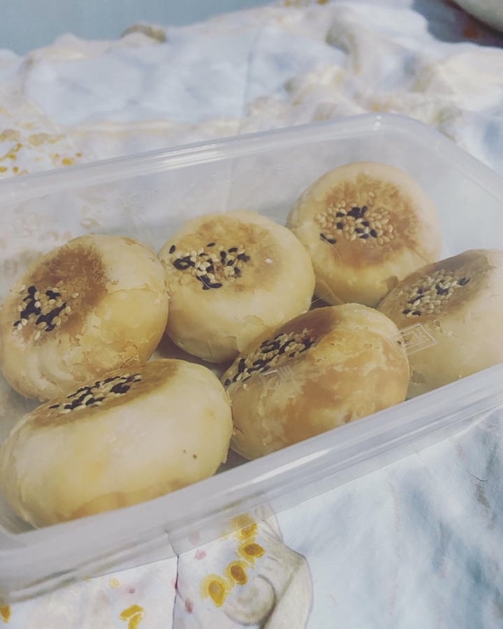 Nature Vegetarian Delights Hougang, Singapore Handmade Tau Sar Piah ...