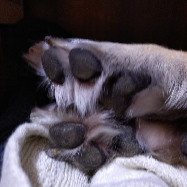 celecel (@celecel) | abillion