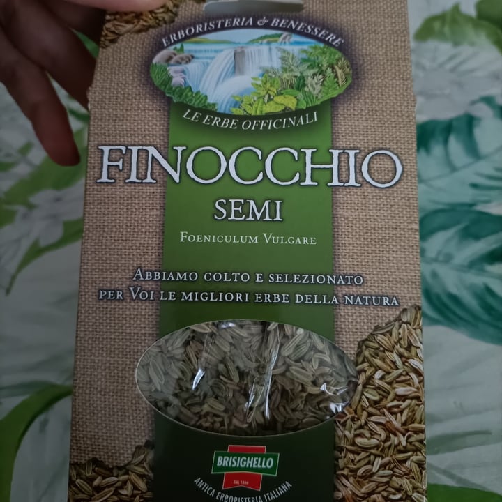 Brisighello Finocchio in Semi Review | abillion