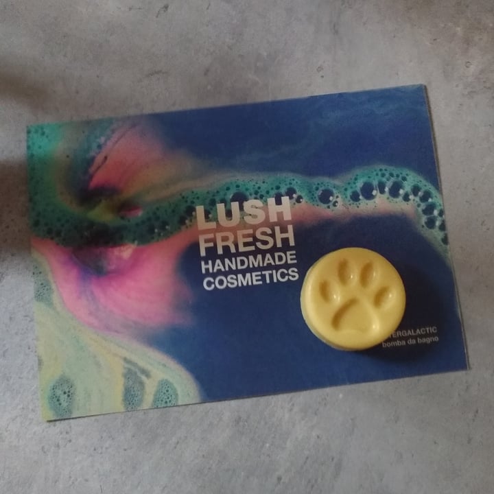 LUSH Fresh Handmade Cosmetics Charity Pot Coin Animal Rights Review ...