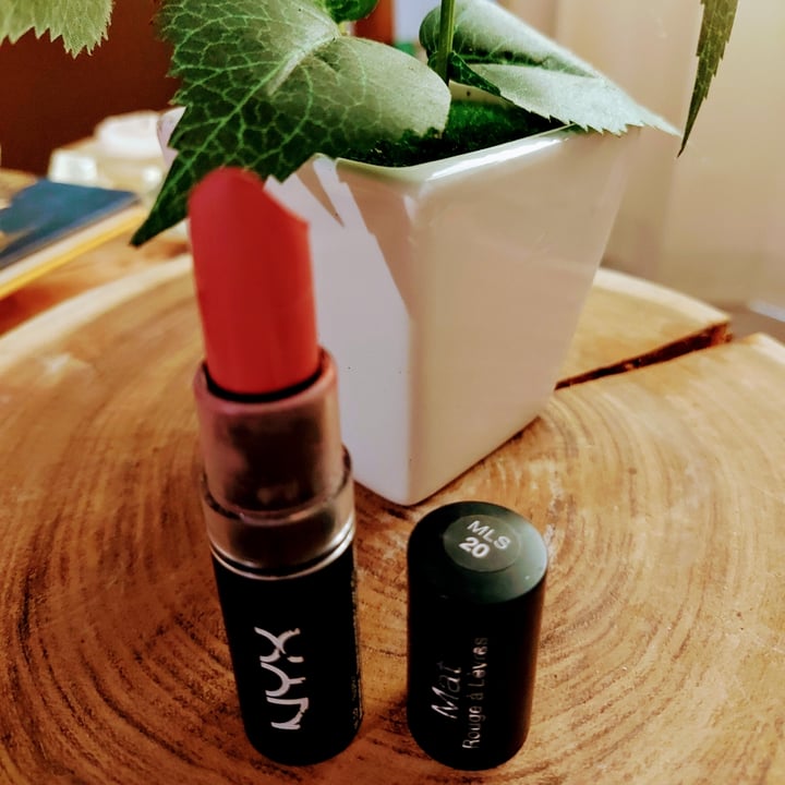NYX Cosmetics Labial Review | abillion