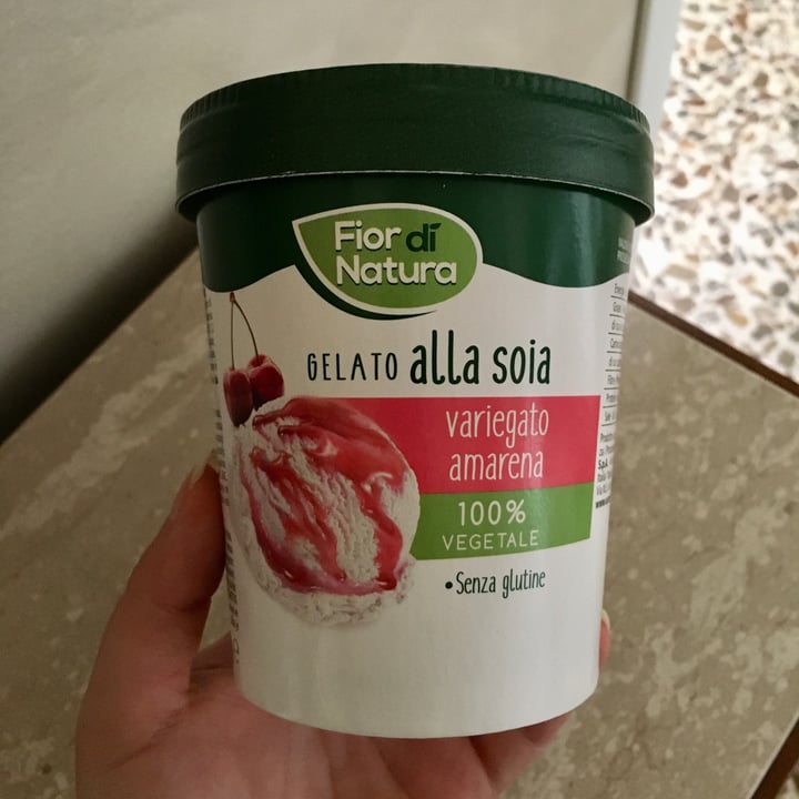 Fior di Natura Gelato Alla Soia Variegato Amarena Review | abillion