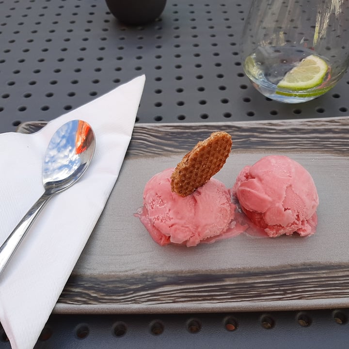 Salushi Express Cape Town, South Africa Unframed Ice Cream Review ...