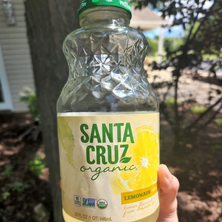 Santa Cruz Organic Lemonade Review | abillion