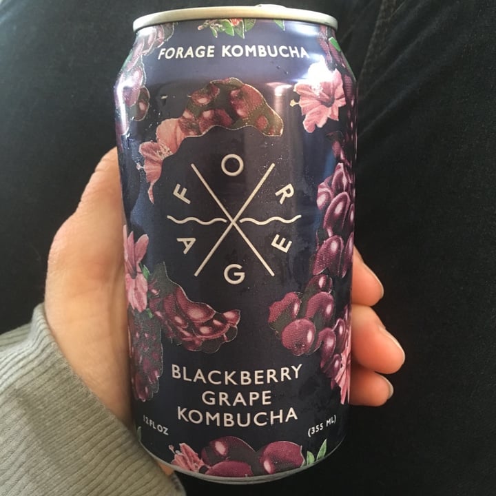 Forage Blackberry Grape Kombucha Review | abillion