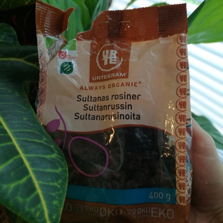 Urtekram Rusina Review | abillion